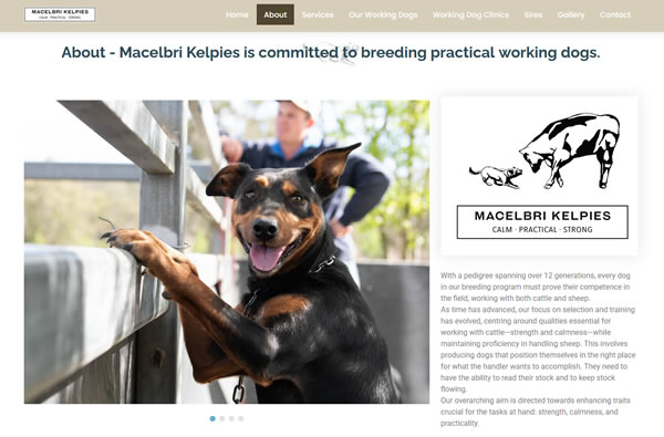 Macelbri Kelpies - breeding practical working dogs - Timor Murrurundi NSW